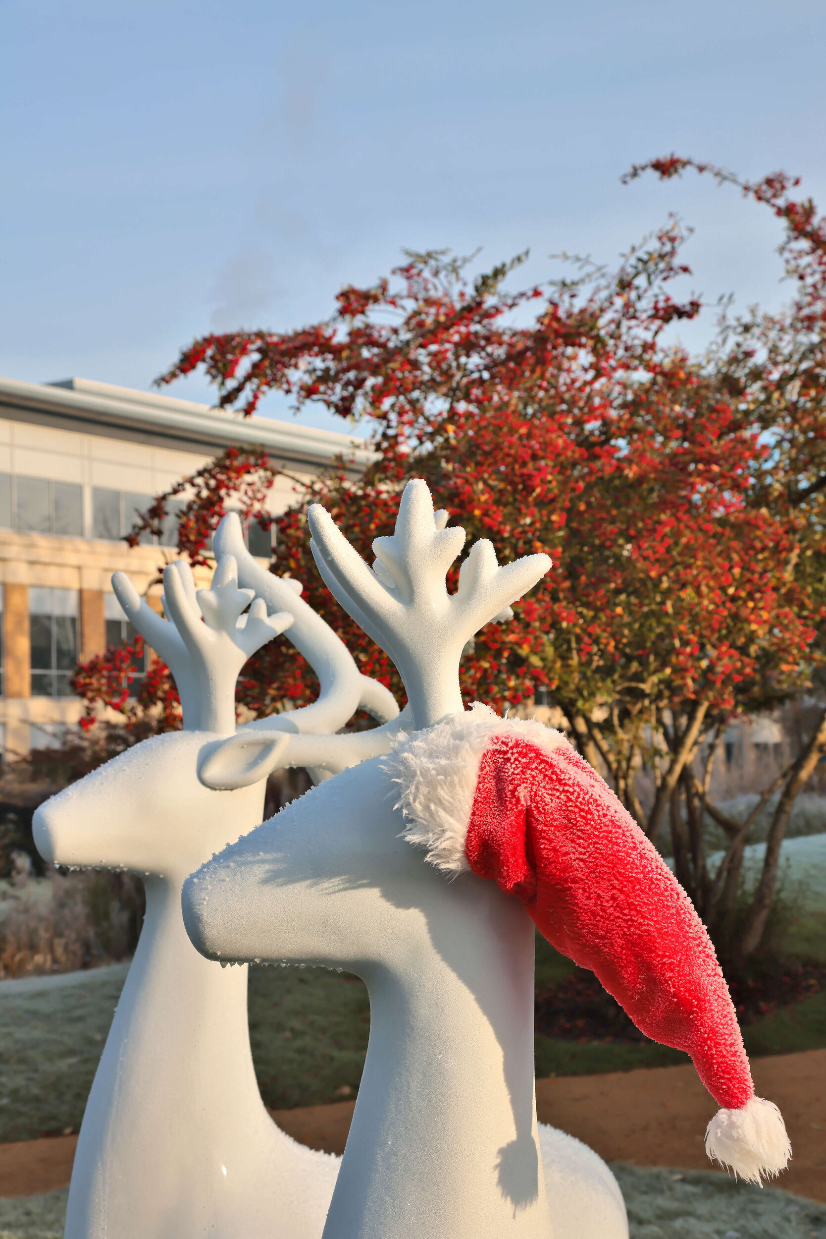 Past Events - Birmingham Business Park